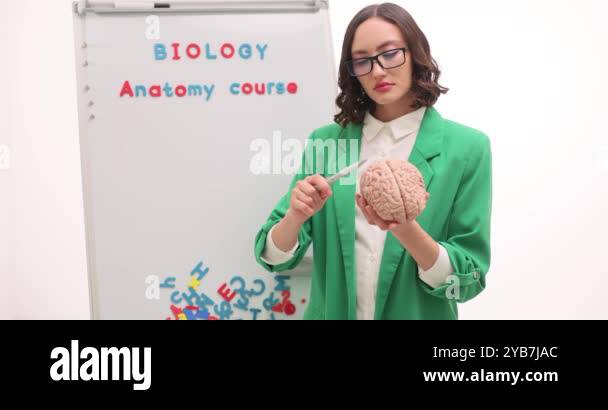 Woman biology teacher holds detailed model of human brain on white ...