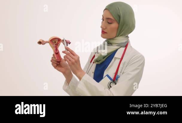 Woman gynecologists in hijab shows uterus model against white. Muslim ...