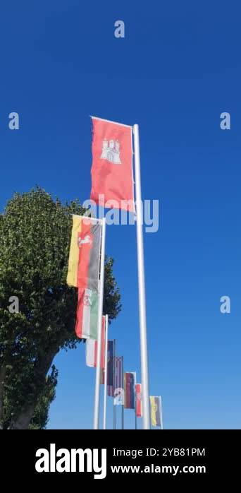 Regional heraldry Stock Videos & Footage - HD and 4K Video Clips - Alamy