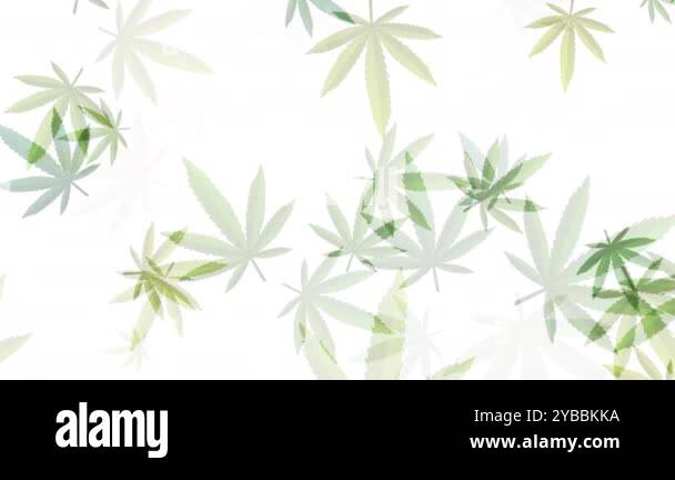 Marijuana leaf graphic Stock Videos & Footage - HD and 4K Video Clips ...
