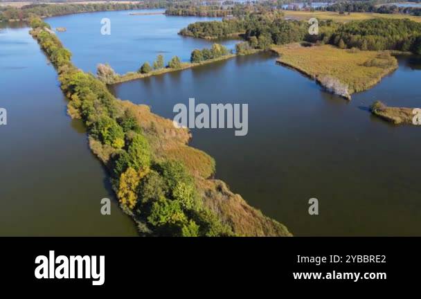 Carp Fish Farming Lakes Nowe Grodzisk Landscape Park Poland Stock Video ...