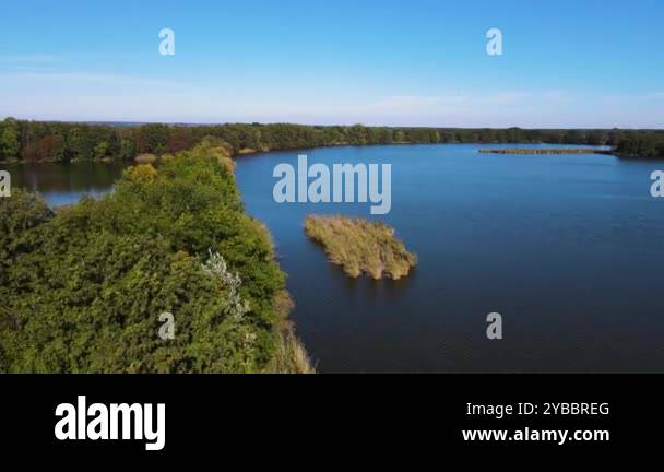 Carp Fish Farming Lakes Nowe Grodzisk Landscape Park Poland Stock Video ...
