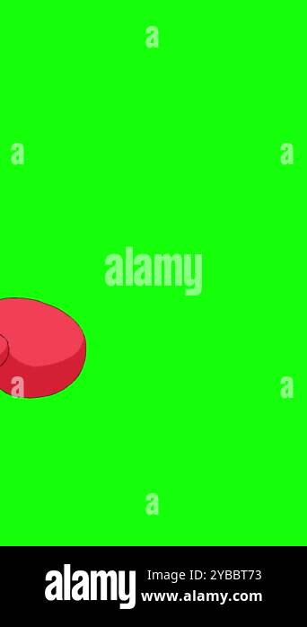 Octopus swims underwater chroma key. Handmade animated looped HD ...