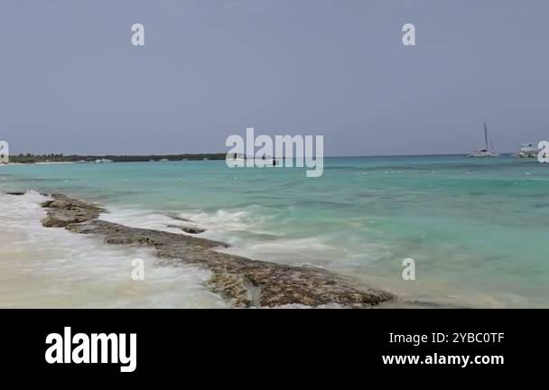 Dominican rep Stock Videos & Footage - HD and 4K Video Clips - Alamy
