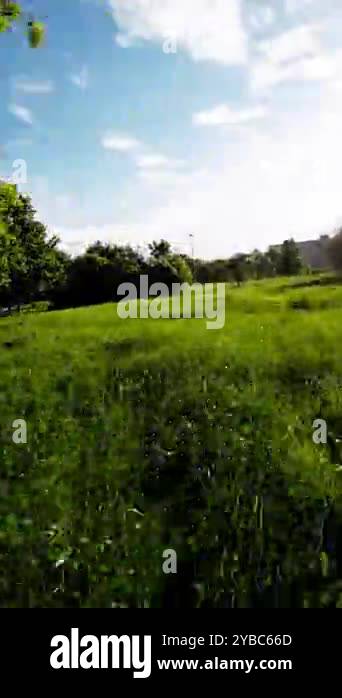 Immerse yourself in the tranquility of nature with this captivating video of a serene park ...