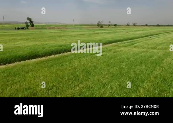 Road beautiful field captured Stock Videos & Footage - HD and 4K Video ...