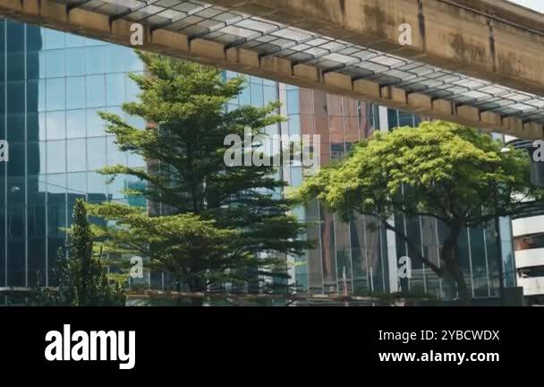 Plants trees under bridge architecture Stock Videos & Footage - HD and ...