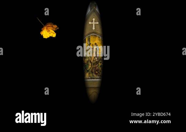 Maple cross Stock Videos & Footage - HD and 4K Video Clips - Alamy