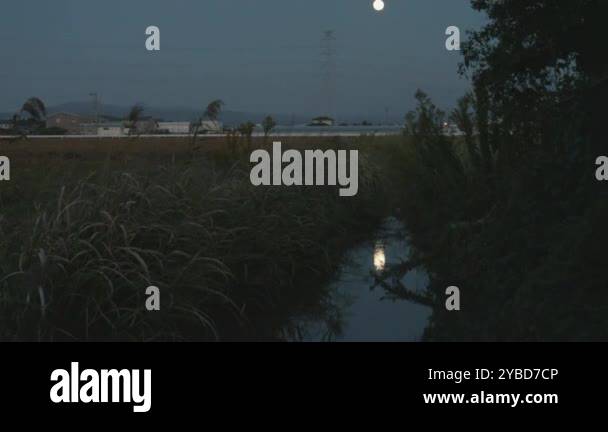 Irrigation ditch with full moon reflection at Japanese Countryside ...