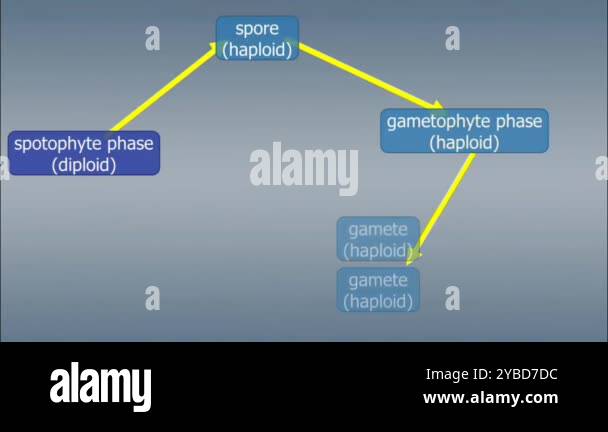 Specialized structures Stock Videos & Footage - HD and 4K Video Clips ...