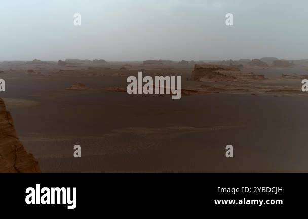 Desert creatures Stock Videos & Footage - HD and 4K Video Clips - Alamy