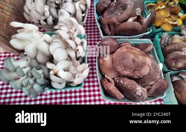 A closeup view of fresh shiitake mushrooms in blue containers, set ...