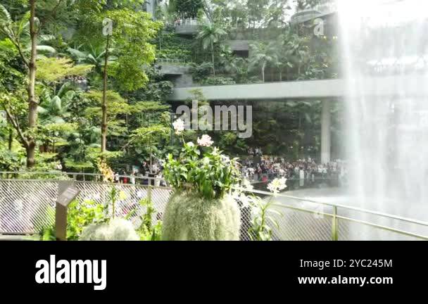 Changi Airport, Singapore - July 30th 2024: World Largest Indoor Water ...