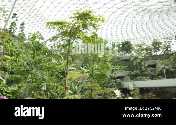Changi Airport, Singapore - July 30th 2024: World Largest Indoor Water ...