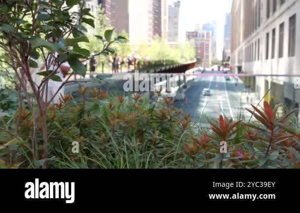 New York City High Line elevated greenway, Manhattan Midtown, USA ...