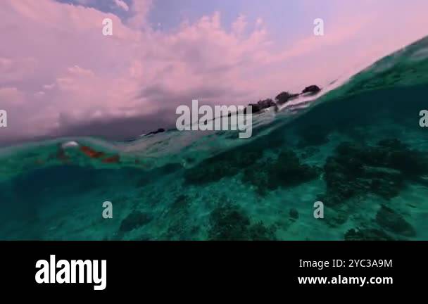 Young woman in mask with snorkel and fins diving underwater. Snorkeling ...
