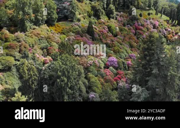 Maintained greenery Stock Videos & Footage - HD and 4K Video Clips - Alamy