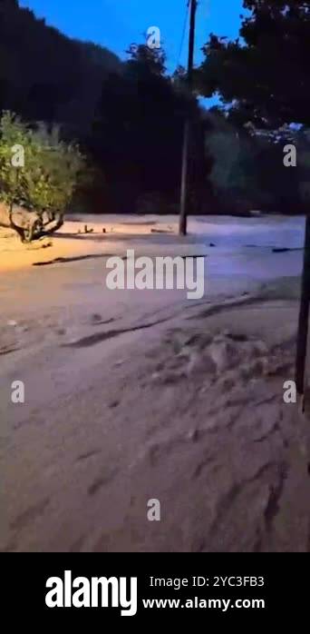 Flood. Severe flooding. River floods overflow riverbed trees under ...