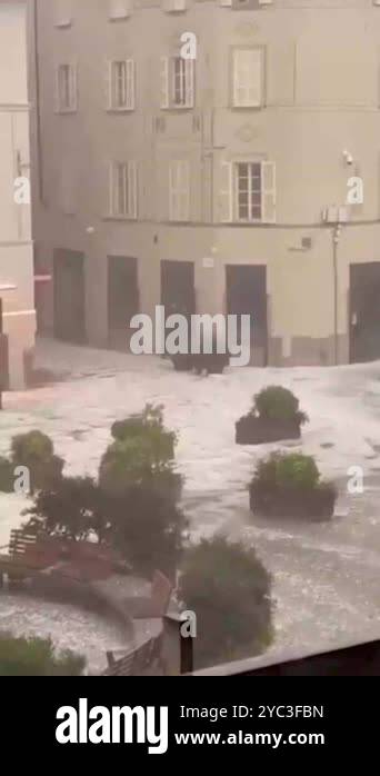 Flood. Severe flooding. River floods overflow riverbed trees under ...
