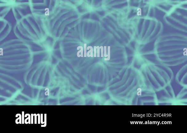 Seamless loop animation of a symmetrical star-shaped figure created in ...