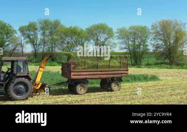 Above view silage process for stocking feed animals. Tractor with ...