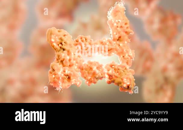 Weight loss. fat burn in human tissue, Adipose connective tissue, fat ...