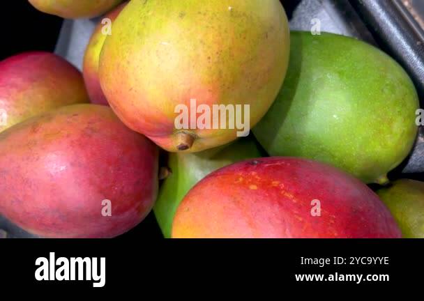 Grocery tracking Stock Videos & Footage - HD and 4K Video Clips - Alamy