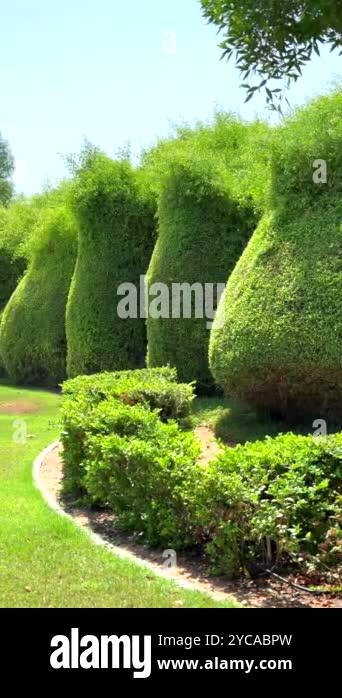 Shaped hedges Stock Videos & Footage - HD and 4K Video Clips - Alamy