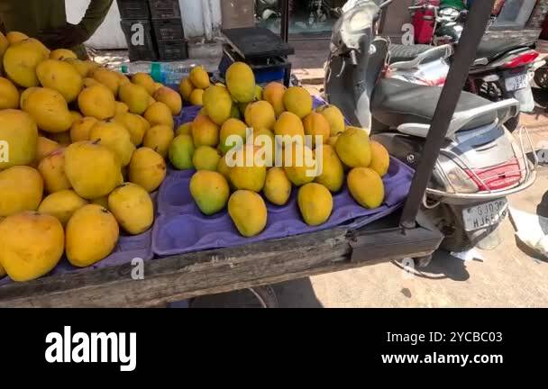 Mango mangoes market Stock Videos & Footage - HD and 4K Video Clips - Alamy