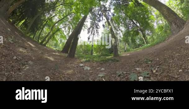 Immerse yourself in the beauty of nature with this captivating video of ...