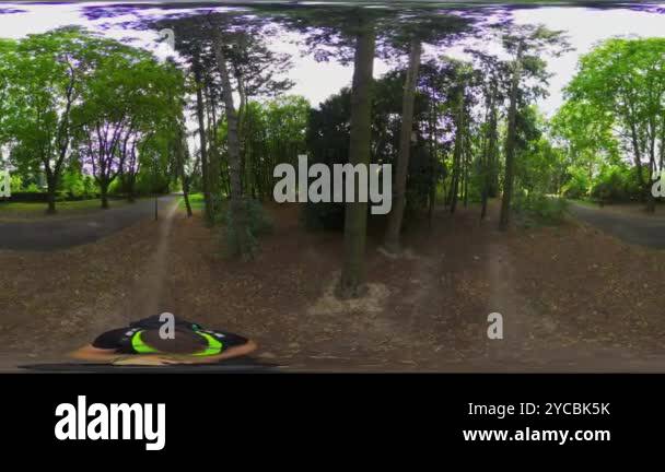 Immersive forest walk Stock Videos & Footage - HD and 4K Video Clips ...