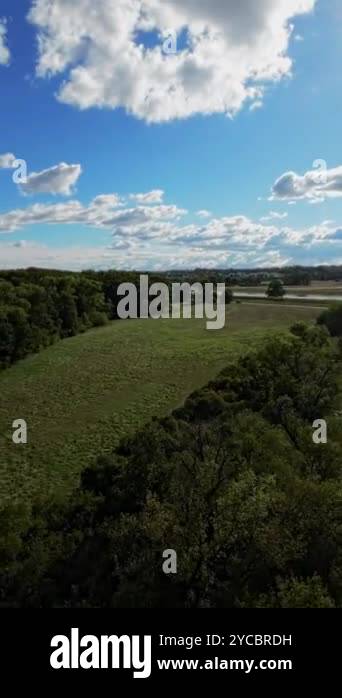 Murky green color Stock Videos & Footage - HD and 4K Video Clips - Alamy
