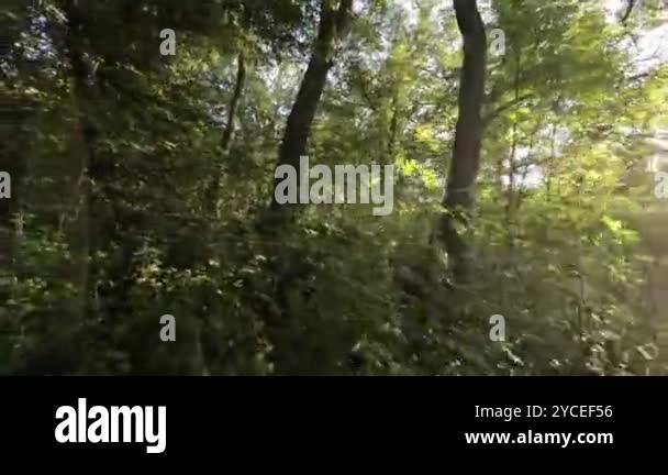 This FPV First Person View video takes you on a thrilling journey ...