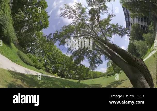 This is a hemispherical panoramic video of a lush green park. The video ...
