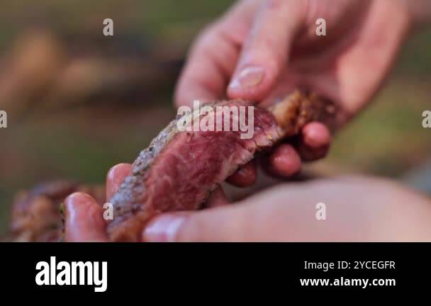 Close up of hands pulling apart a medium rare steak, showing the juicy ...