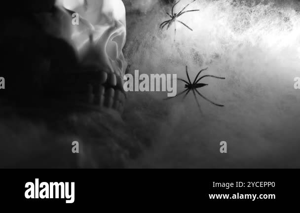 A haunting arrangement showcases a skull skeleton alongside a spider ...