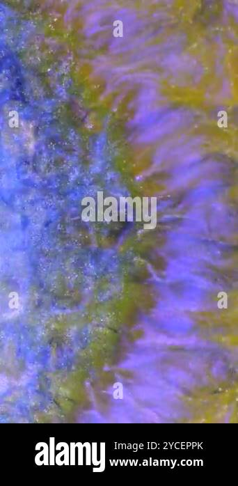 Blending elements of expressionism Stock Videos & Footage - HD and 4K ...