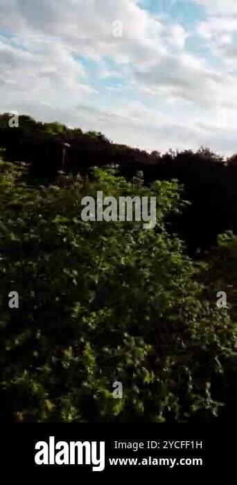 This is a video of a peaceful walk through a beautiful park. The lush ...