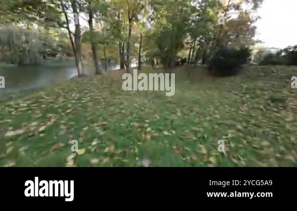 A first-person view FPV flight through a park in autumn. The video is ...