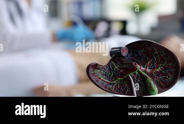 Doctor makes ultrasound of liver to patient in clinic closeup. Iiver ...