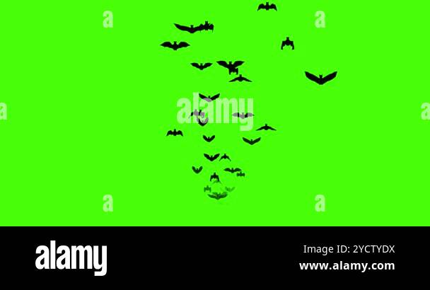 The green screen was a flock of small numbers of bats flying towards ...