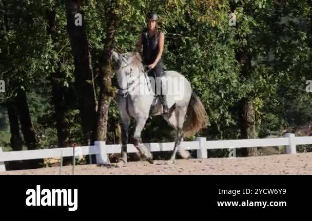 Equestrian skills Stock Videos & Footage - HD and 4K Video Clips - Alamy