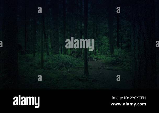 Dark trail Stock Videos & Footage - HD and 4K Video Clips - Alamy