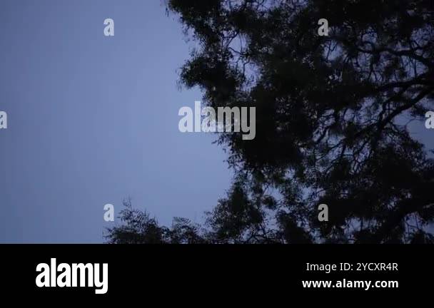 Dramatic bending Stock Videos & Footage - HD and 4K Video Clips - Alamy