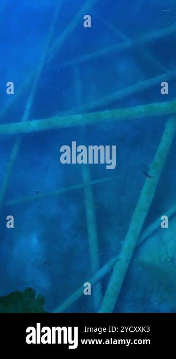 An exquisite underwater view beautifully showcasing wooden beams set ...