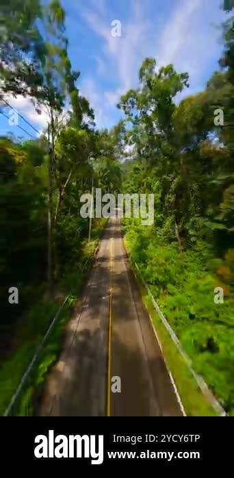 FPV flight over scenic tropical road through the lush jungle in summer ...