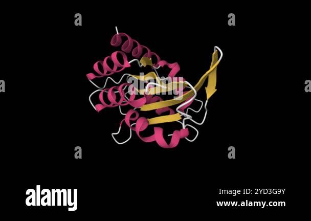 Crystal structure of the cancer genomic DNA mutator APOBEC3B. Animated ...