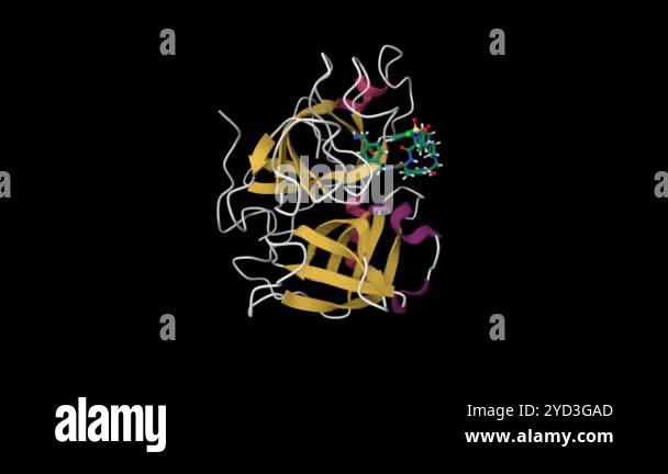 Human plasminogen with inhibitor. Animated 3D cartoon model, PDB 7uah ...