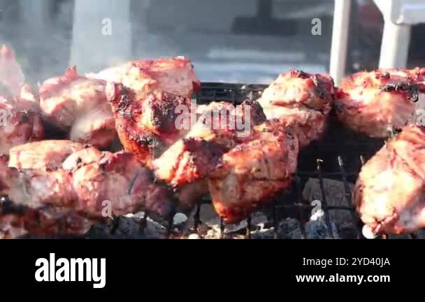 Barbecue lovers Stock Videos & Footage - HD and 4K Video Clips - Alamy