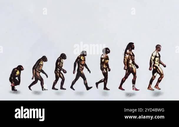 Evolutionary history Stock Videos & Footage - HD and 4K Video Clips - Alamy